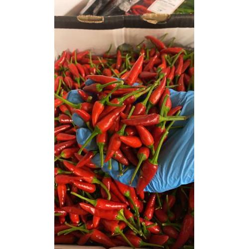 新鲜 泰国指天椒（小米椒）（红）100g_新鲜蔬菜_新鲜食品_乐动易购-ledoshop