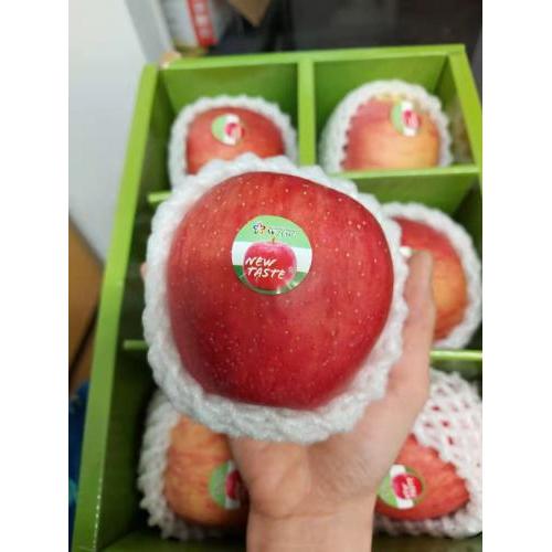 新鲜 特级红富士苹果礼盒装 约2kg 1盒6到8个_新鲜水果_新鲜食品_乐动易购-ledoshop