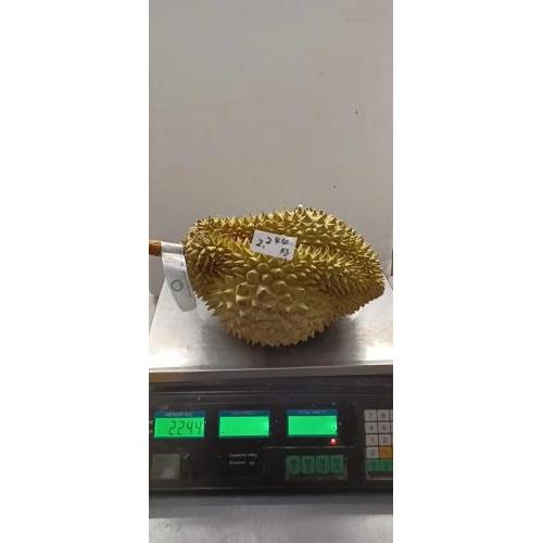 新鲜 榴莲 1个 2.244kg (£18.49/kg）_新鲜食品_乐动易购-ledoshop