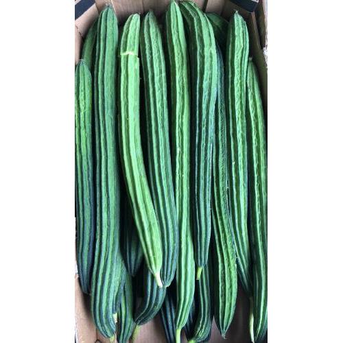 新鲜 长丝瓜（中国品种）1份约2kg_新鲜蔬菜_新鲜食品_乐动易购-ledoshop