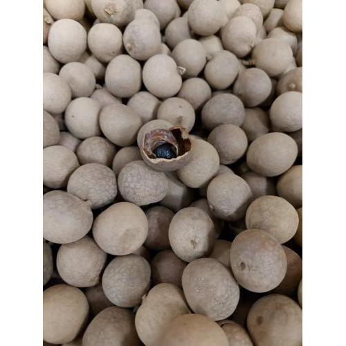 龙眼干 整颗带壳 300g_煲汤 . 煮粥食材_南北干货_乐动易购-ledoshop