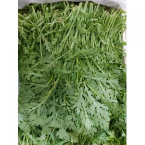 预订 新鲜细叶茼蒿 1箱约4kg 下周三 16/11/2022 开始配送_新鲜蔬菜_新鲜食品_乐动易购-ledoshop