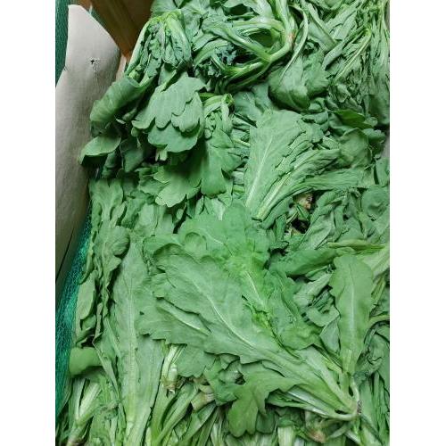 新鲜 宽叶茼蒿 400g_新鲜蔬菜_新鲜食品_乐动易购-ledoshop