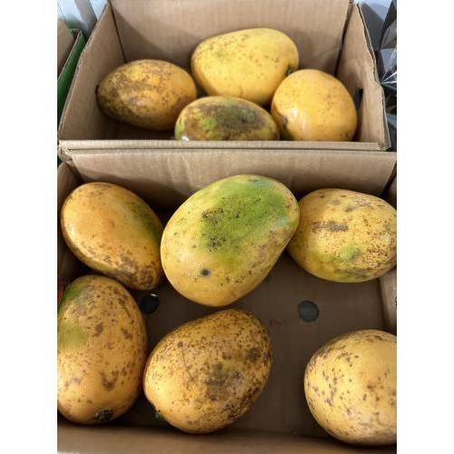 减价 芒果 1盒约2KG(5--7个左右）表面发黑，同城销售，介意者慎拍_新鲜水果_新鲜食品_乐动易购-ledoshop
