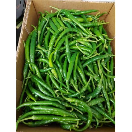 新鲜 绿辣椒 小 150g_新鲜食品_乐动易购-ledoshop