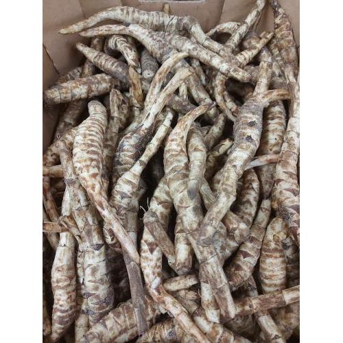 新鲜生地 1份约300g_新鲜食品_乐动易购-ledoshop