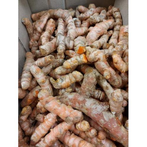 新鲜 姜黄 1份约100g_新鲜食品_乐动易购-ledoshop