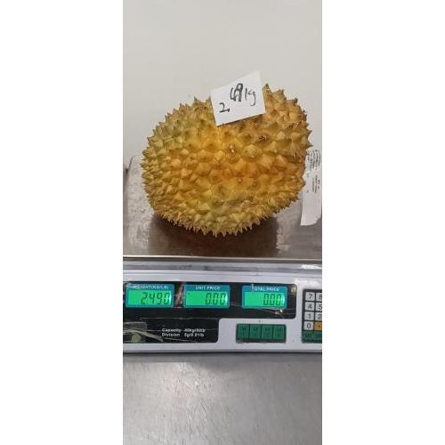 新鲜 榴莲 1个 2.49kg (£18.49/kg）_新鲜食品_乐动易购-ledoshop