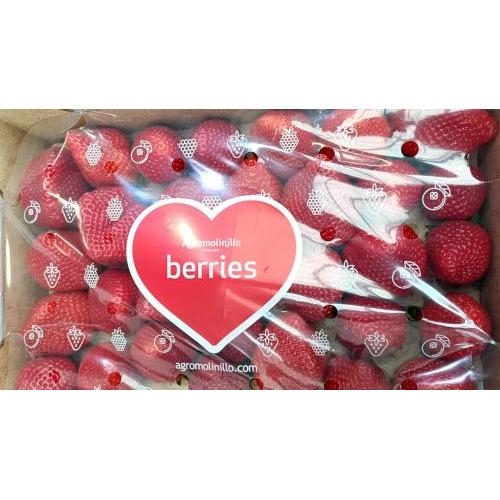 新鲜草莓 约1kg_新鲜食品_乐动易购-ledoshop