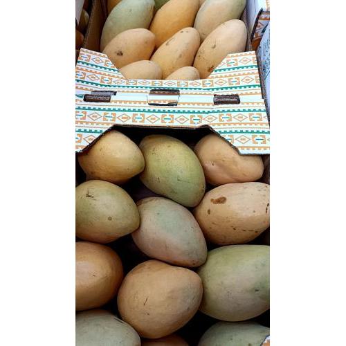 新鲜 甜芒果 1个_新鲜食品_乐动易购-ledoshop