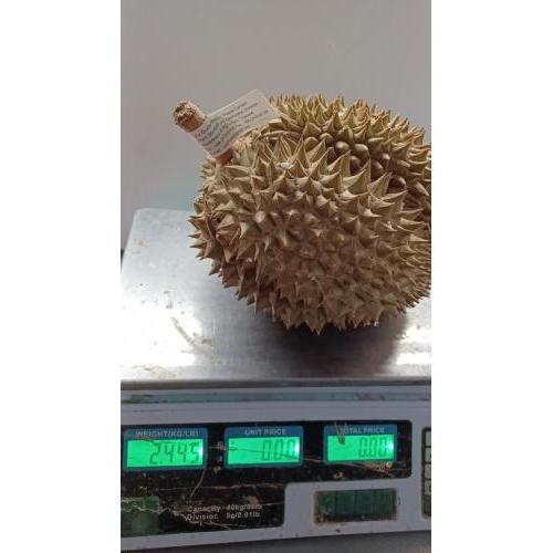 新鲜 榴莲 1个 2.445kg (£18.49/kg）_新鲜食品_乐动易购-ledoshop