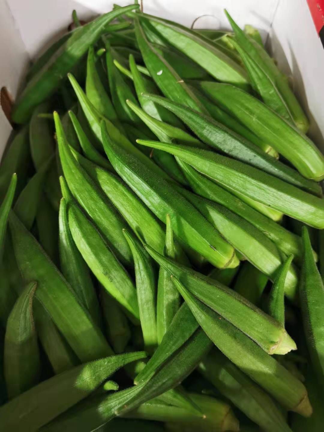 新鲜 秋葵 200g_新鲜蔬菜_新鲜食品_乐动易购-ledoshop